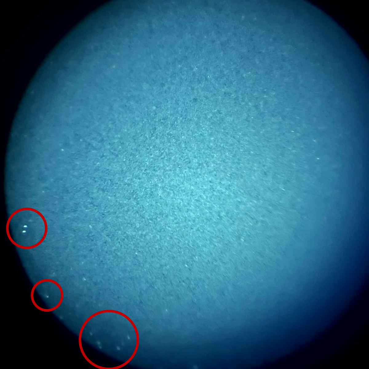 Understanding Image Intensifier Tube (IIT) Damage: What It Means for N ...
